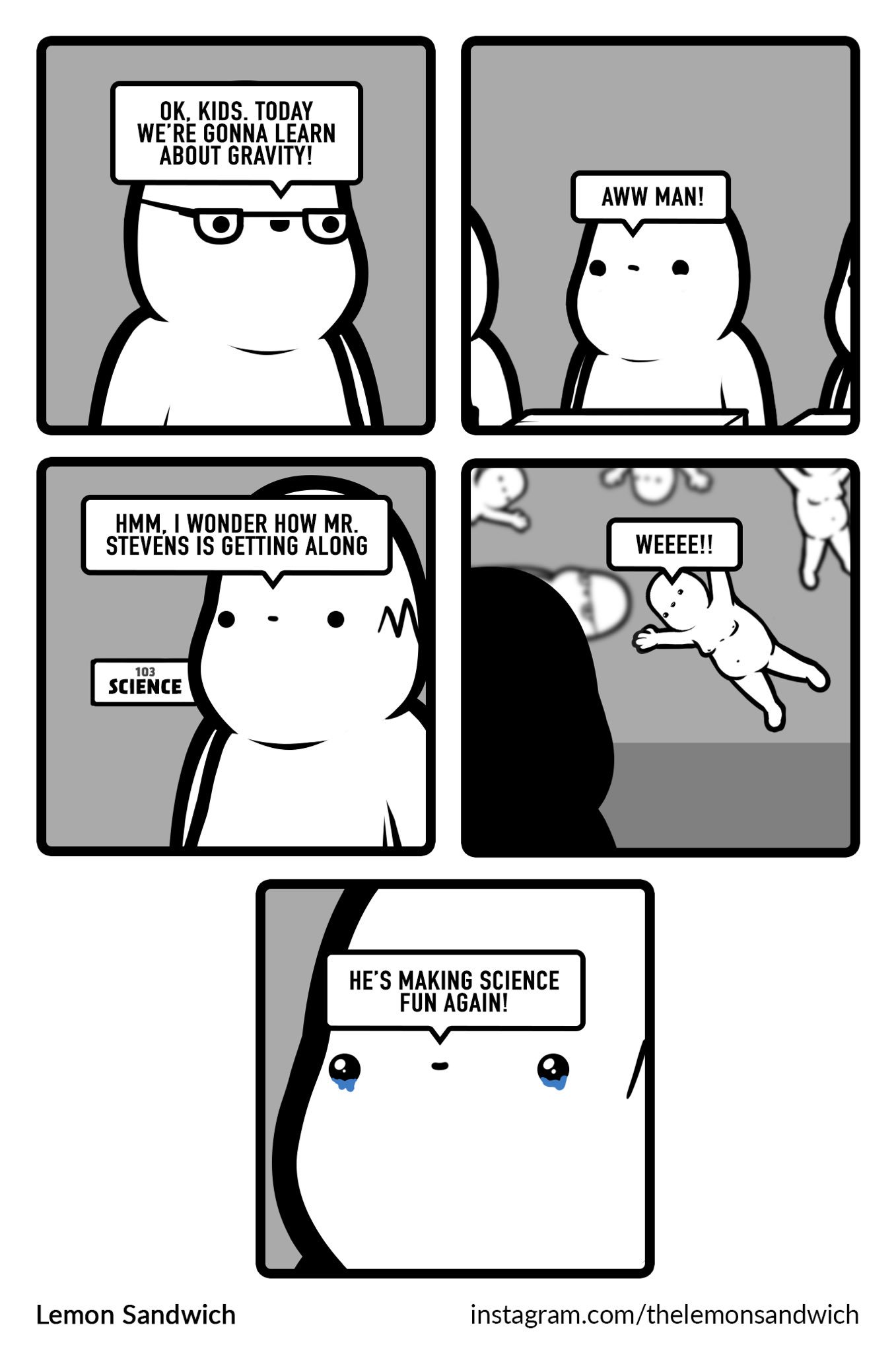 Physics Comics Gravity