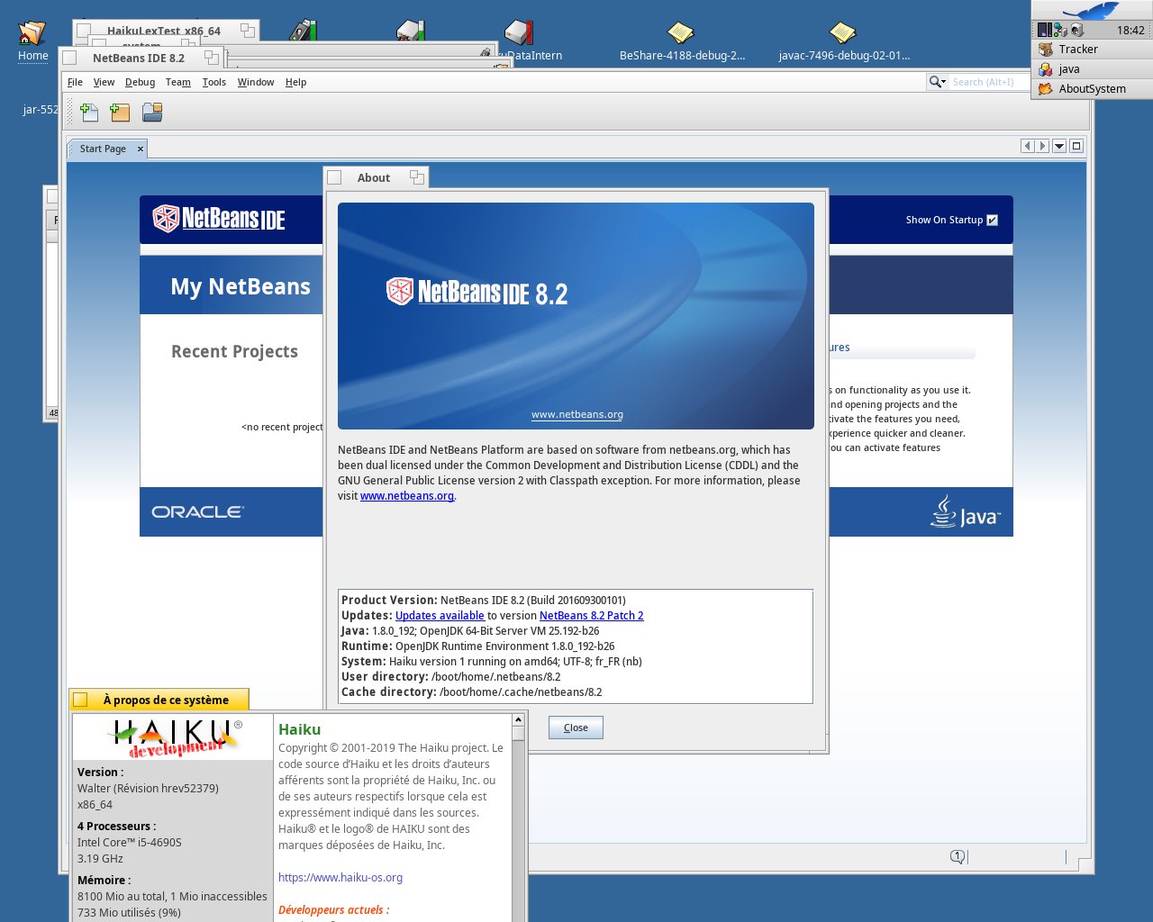 Haiku OS [ES] on Twitter: "NetBeans IDE 8.2 e Intellij IDEA Community Edition 2018.3 funcionando ...