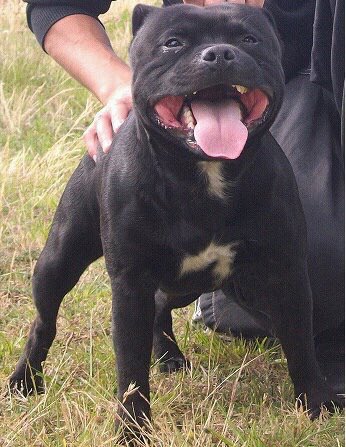 Simon Hoyos (@SimonHoyos8) | Twitter