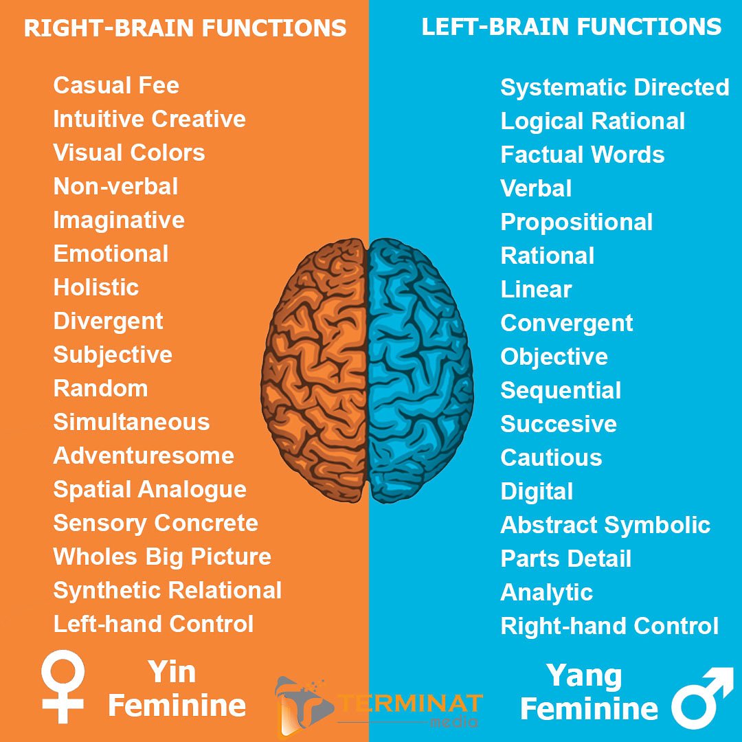Brain Function Left And Right
