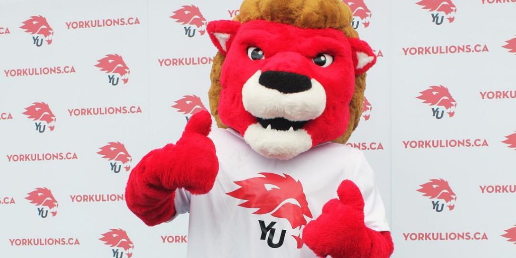 York University Mascot