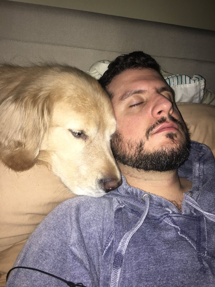 picswhilesleeping Hashtag On Twitter picswhilesleeping-hashtag-on-twitter