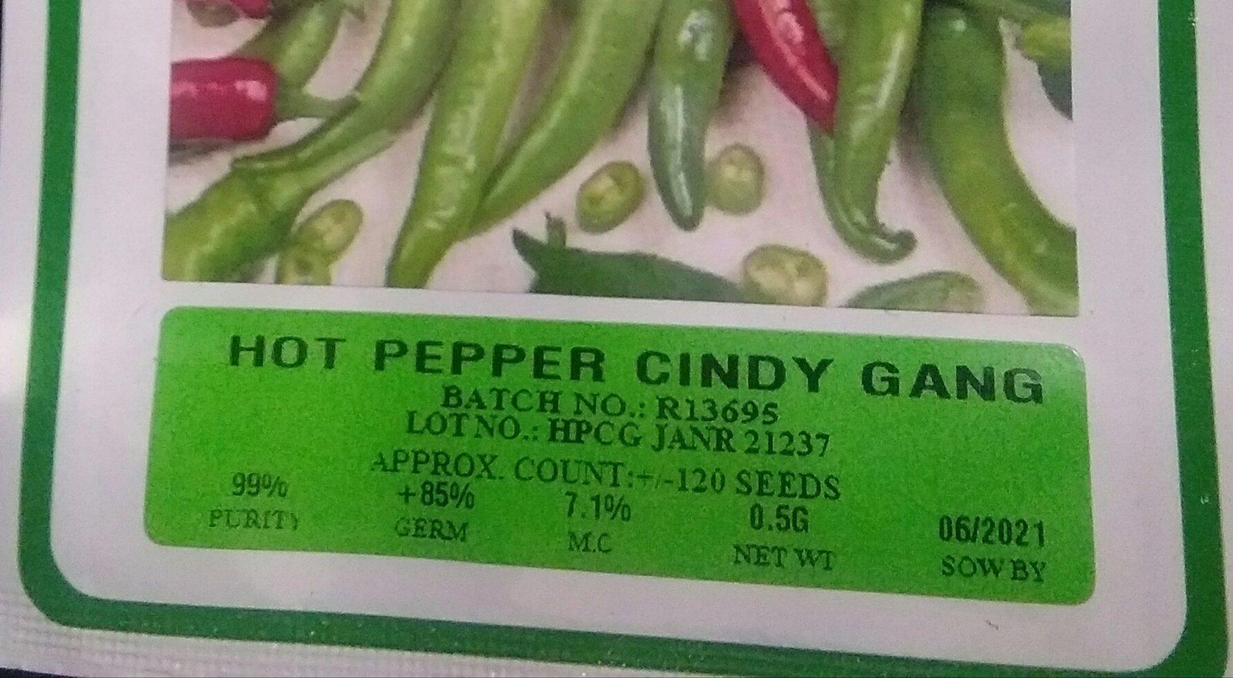 Cindy Pepper