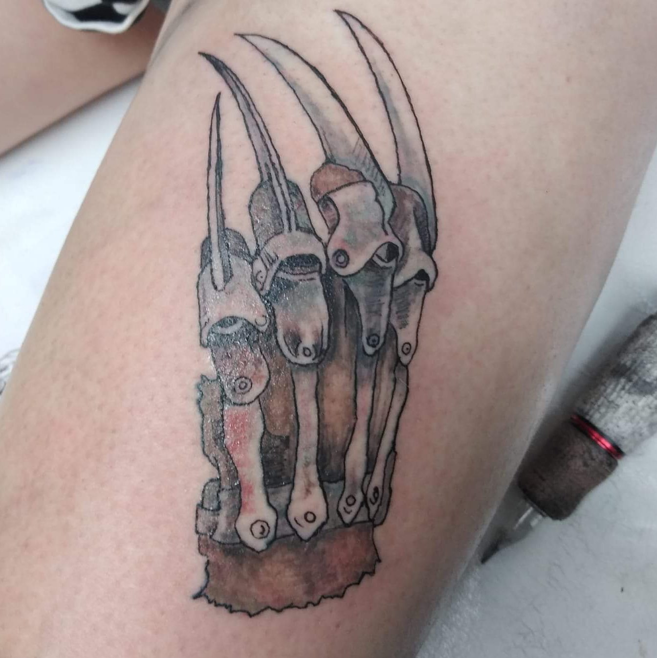 Freddy Tattoo Designs