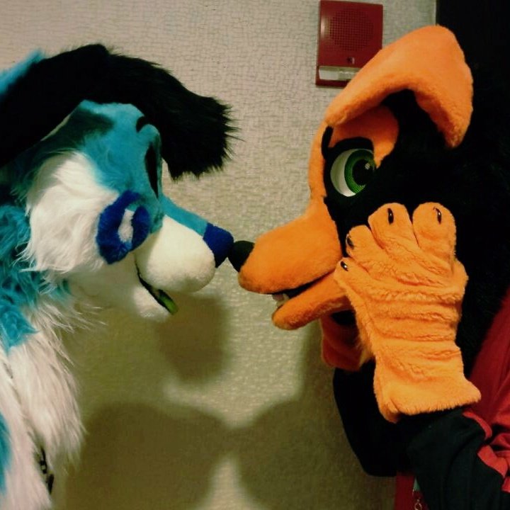 Benji The Beagle @TFF on Twitter: "#NewProfilePic2019 I had to pick this pic as my first pfp of ...