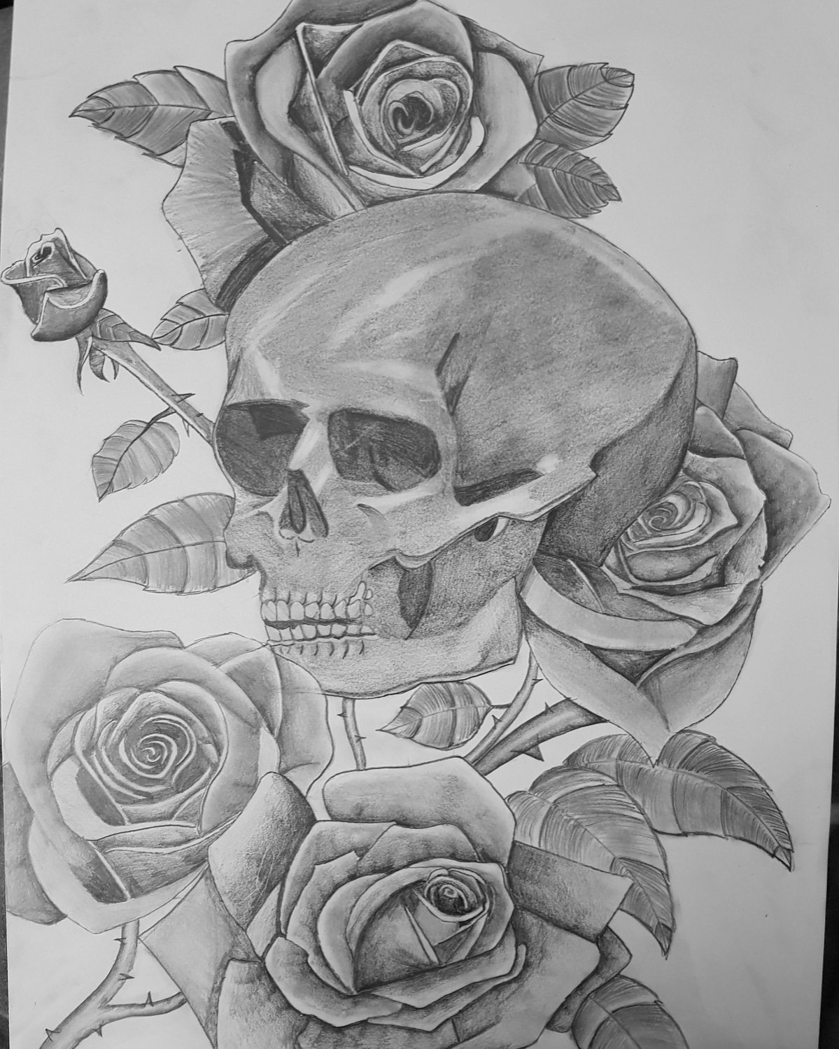 Skull And Rose Drawings In Pencil