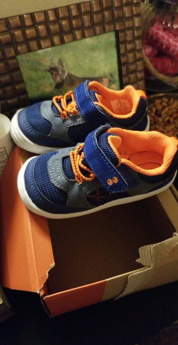 Taylor Funston (@FunstonTaylor) | Twitter