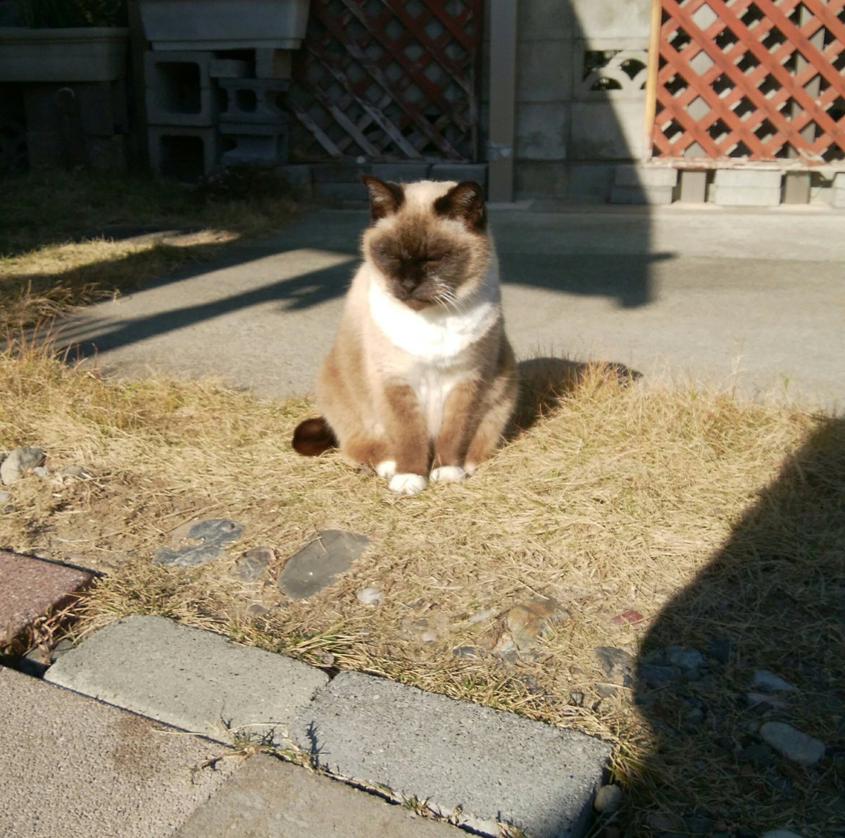 みーすけ (@misuke_867) | Twitter