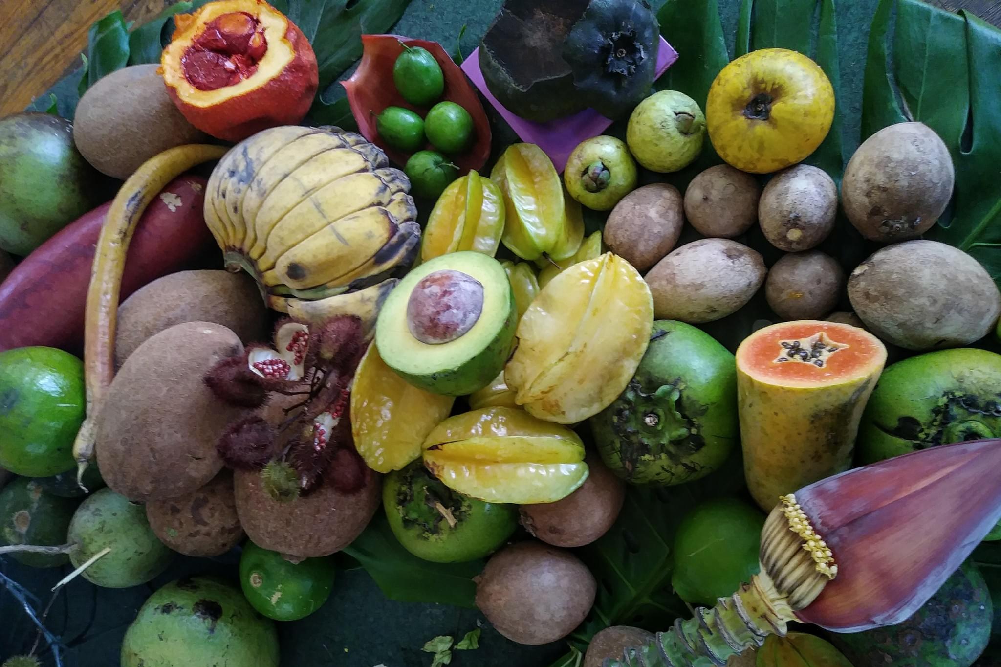 Sapodilla Fruit Taste
