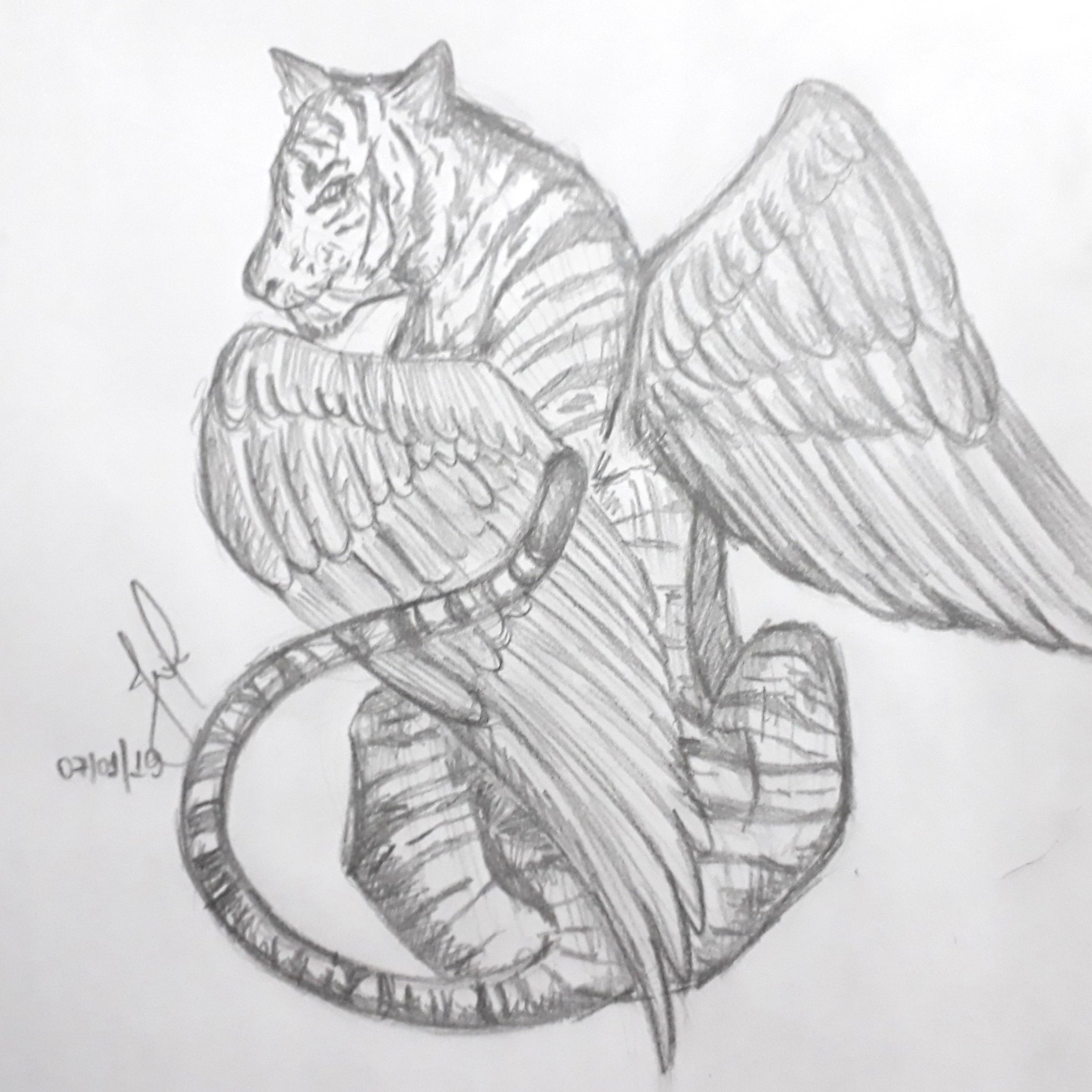 Winged Tiger Drawing