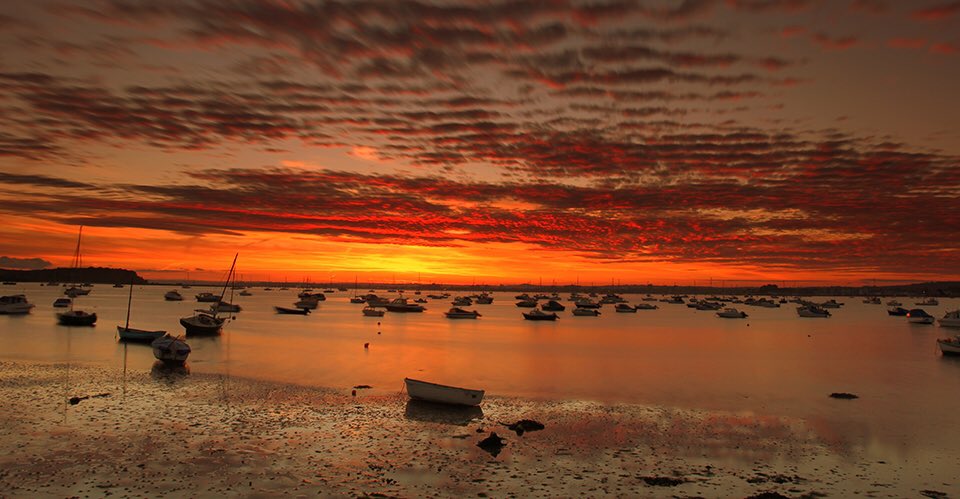 18 best Twitter @matt_pinner images on Pholder | My photo of the Blood ...