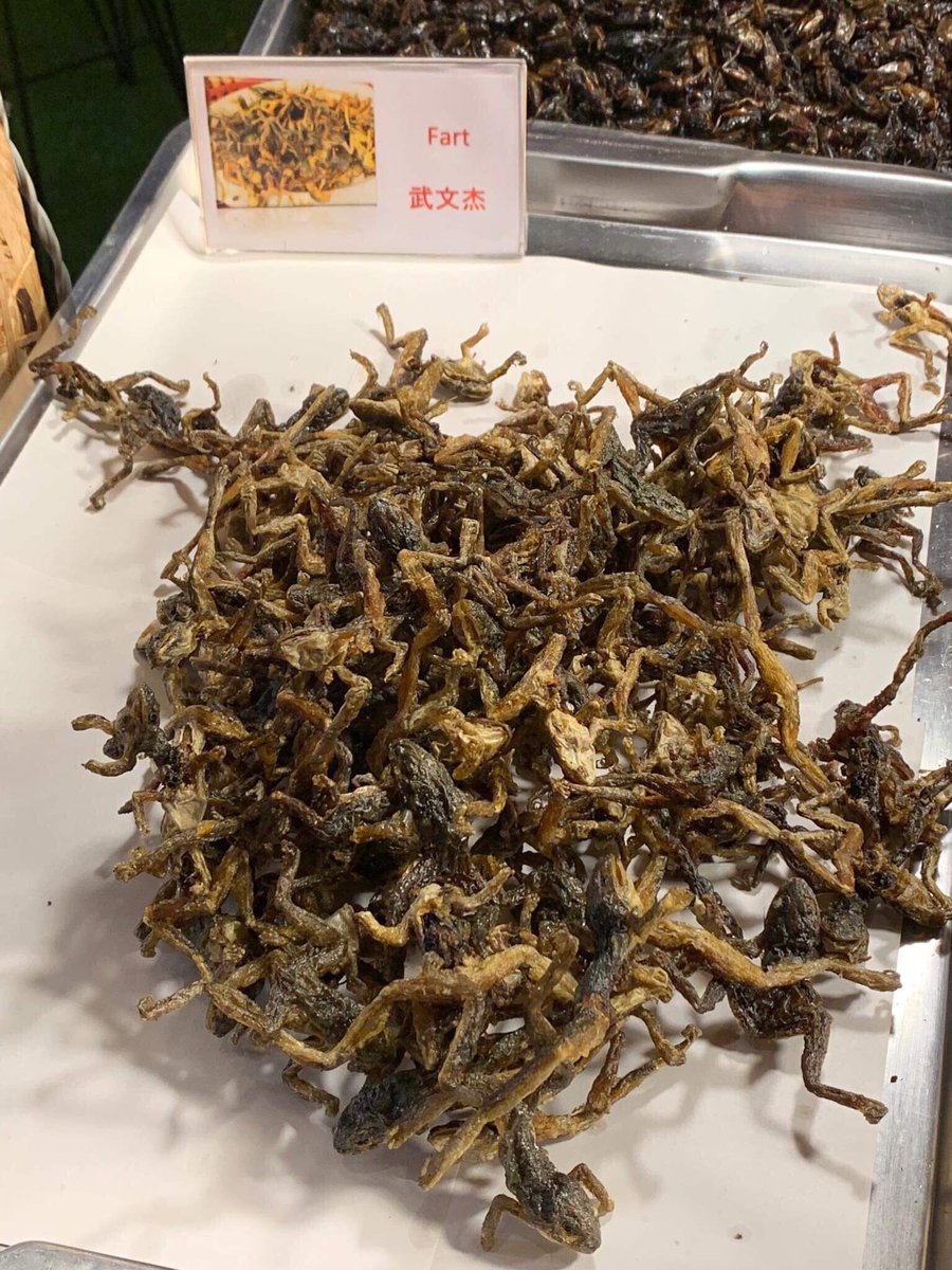 221 best Maxmoefoe images on Pholder | Maxmoefoe, Maxmoefoe and Idubbbz