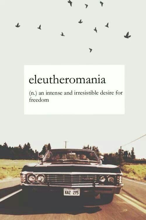 Car Quotes Tumblr