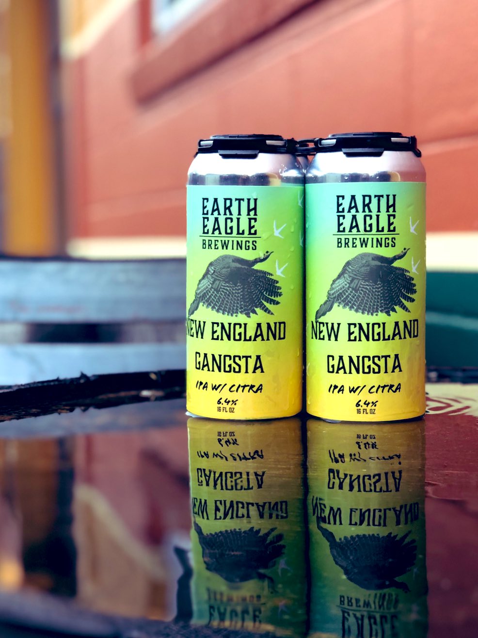 Earth Eagle