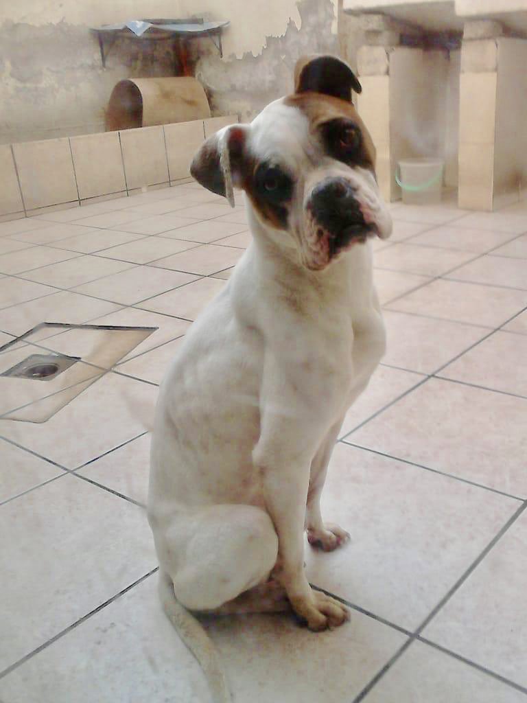 32 best Twitter @tapiafernanda images on Pholder | Quien le entra?