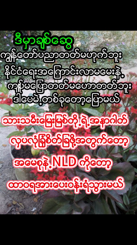 Han Lin Soe (@HanLinSoe4) | Twitter