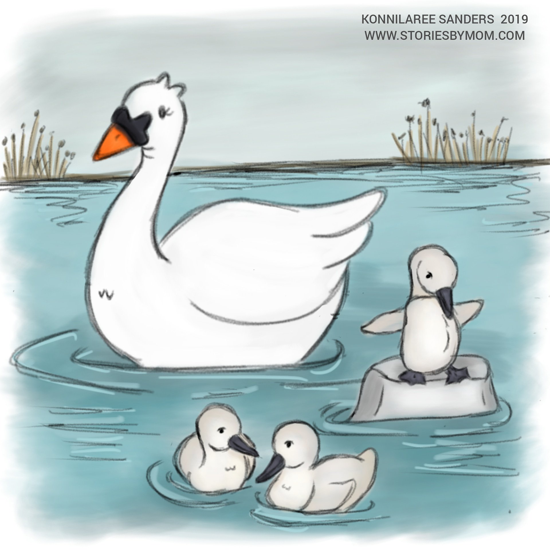 How To Draw A Baby Swan