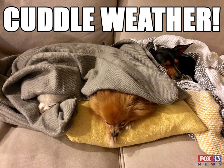 Cuddle Weather Meme