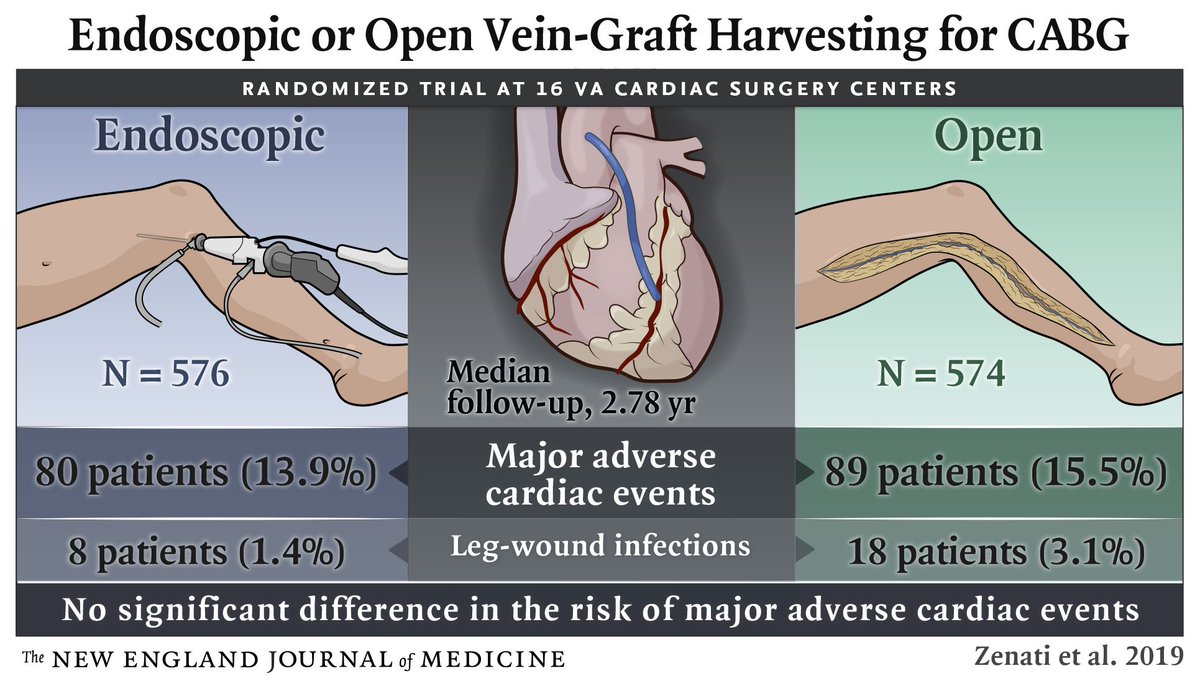 What Are Vein Grafts at Sarah Rachel blog