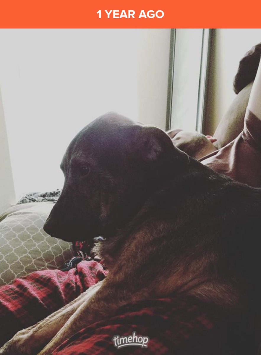 Taylor Funston (@FunstonTaylor) | Twitter