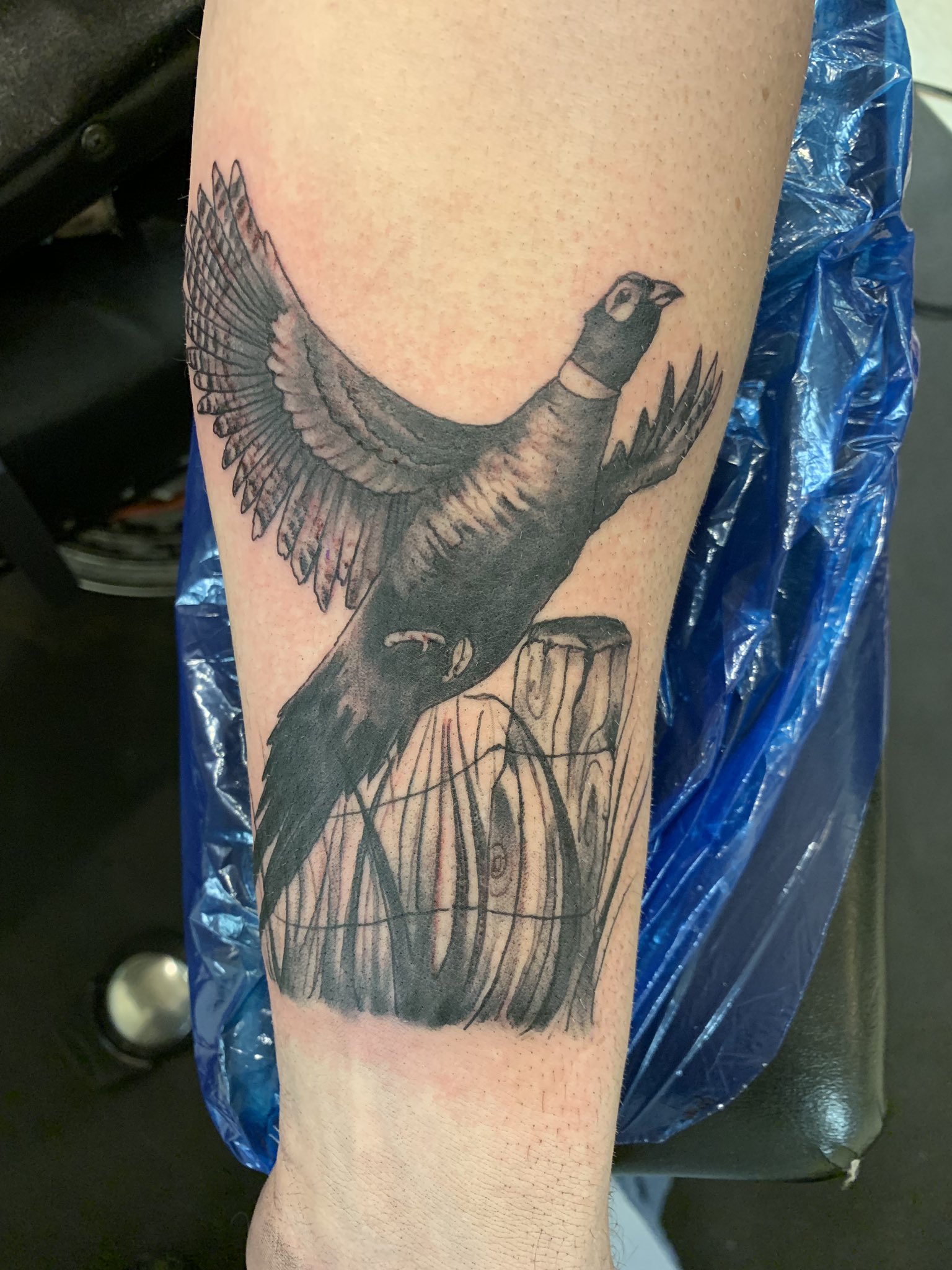 Bird Hunting Tattoos