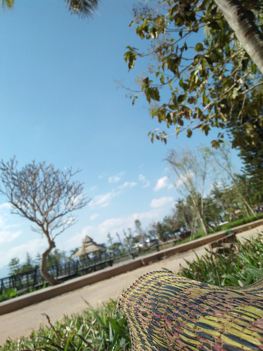 BeeBE CaT (@cat_beebe) | Twitter