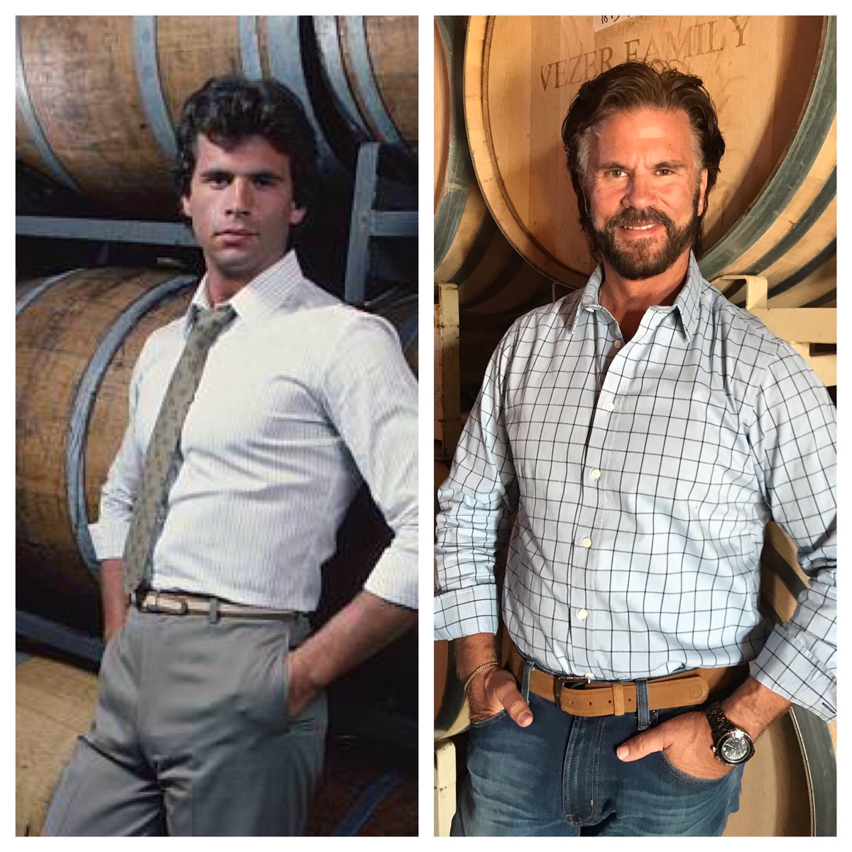 Lorenzo Lamas Falcon Crest