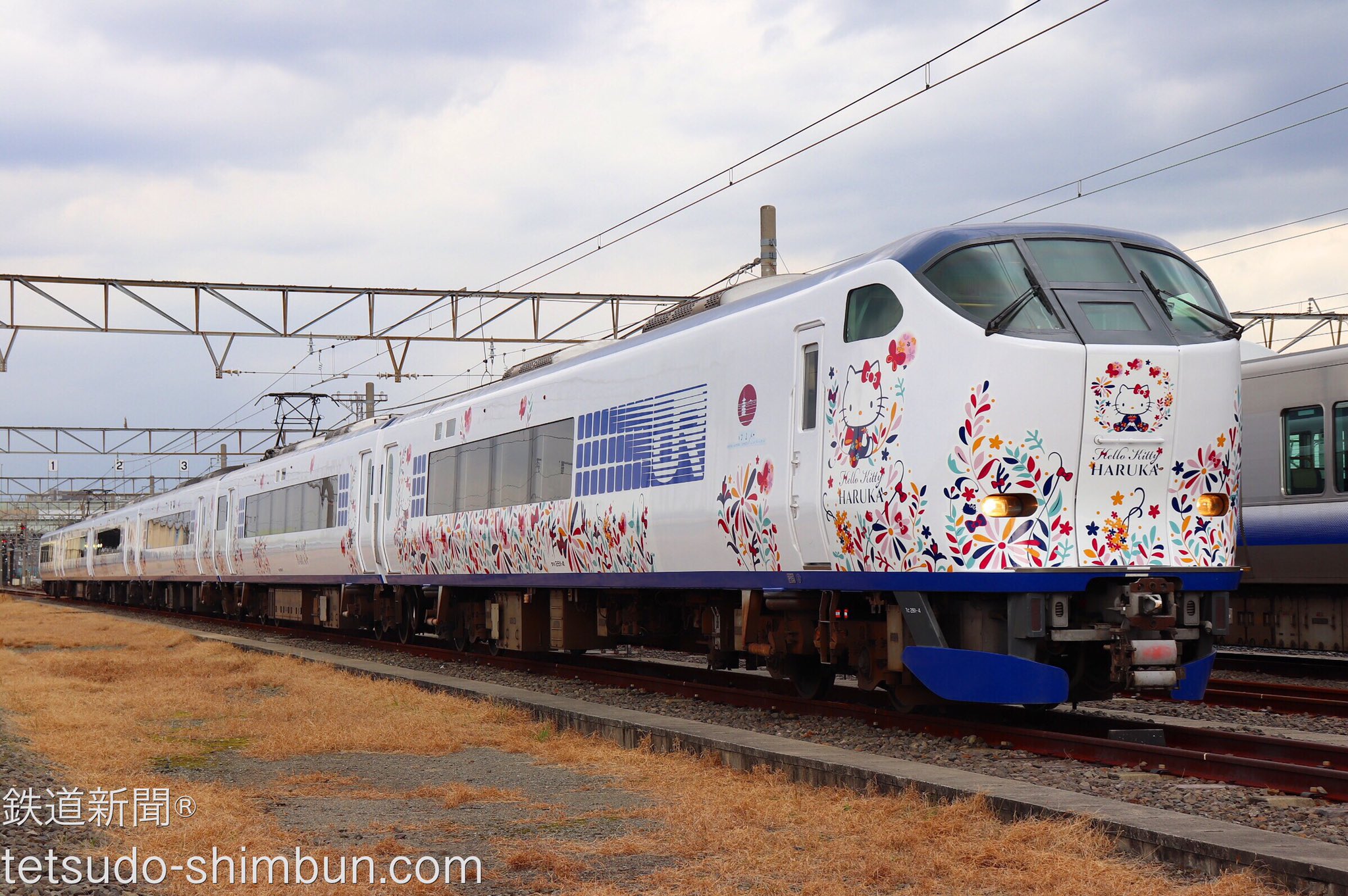 鉄道新聞®︎ on Twitter: "「ハローキティはるか」登場！ https://t.co/3CTYEvIbAH https://t.co/5IvGq6jtmt" / Twitter