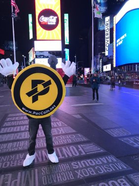 PACcoin ($PAC) Price, Charts, Market Cap, Overview | $0.001105