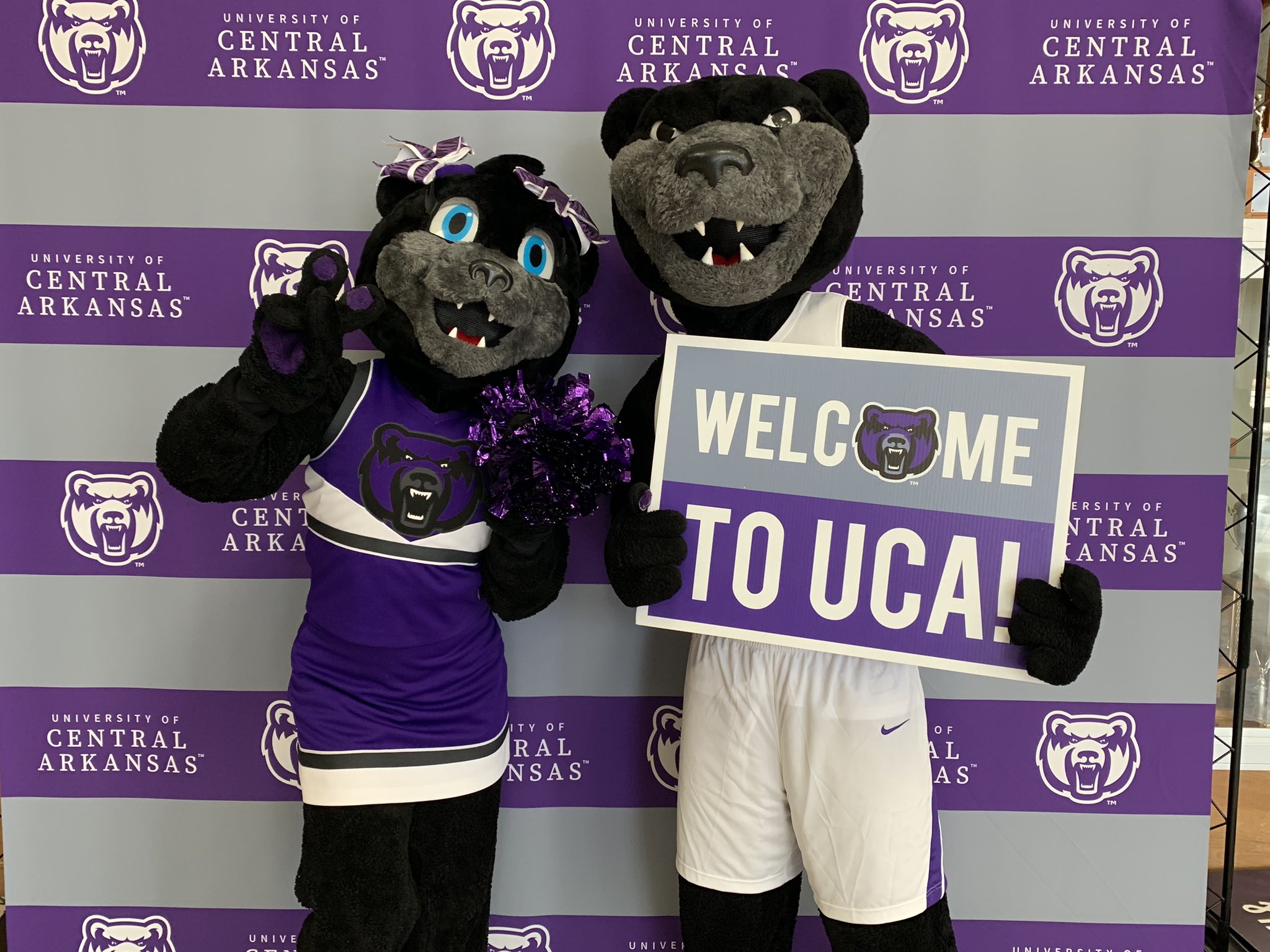 University Of Central Arkansas Mascot