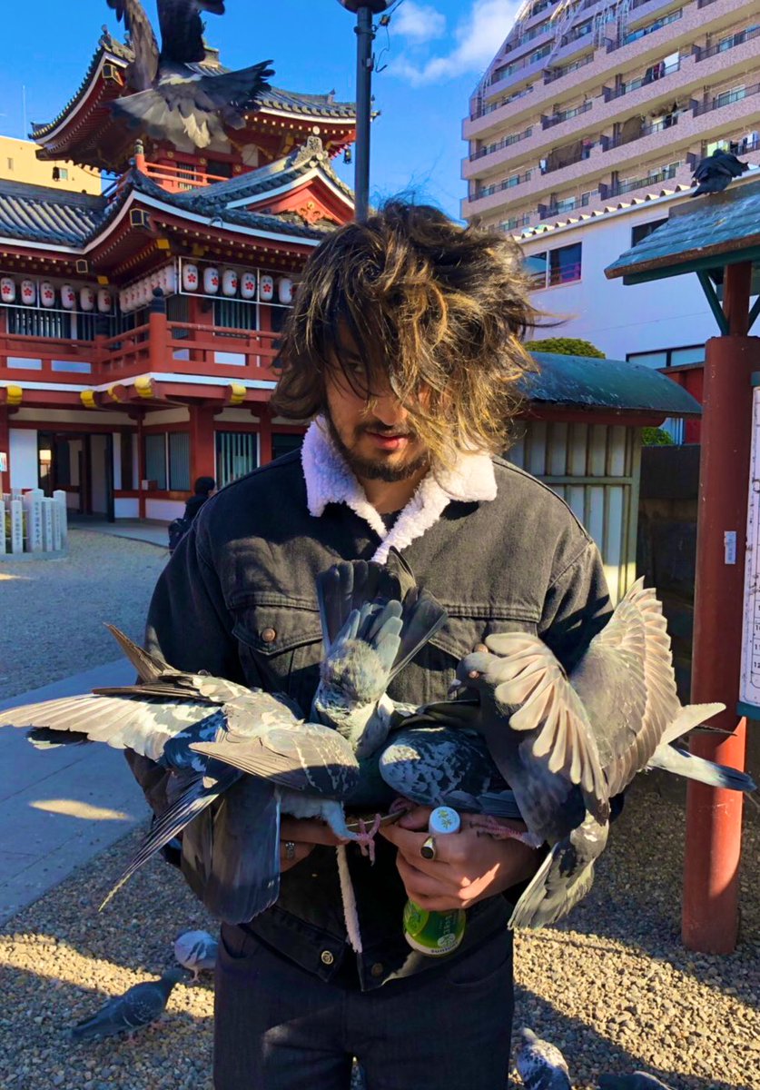 172 best Pigeon Man images on Pholder | Spiderman PS4, Humans Being ...