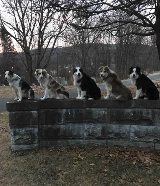 Fintan Hand's Tweets: Hendon Mob Poker Database