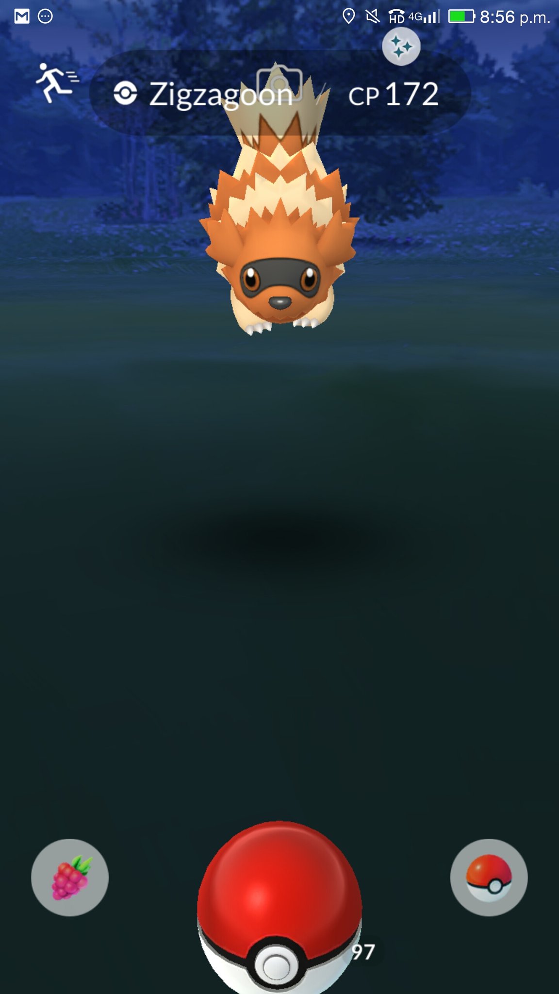 Pokemon Shiny Zigzagoon