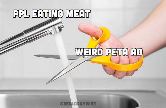 PETA is truly digging their own grave | O-T Lounge