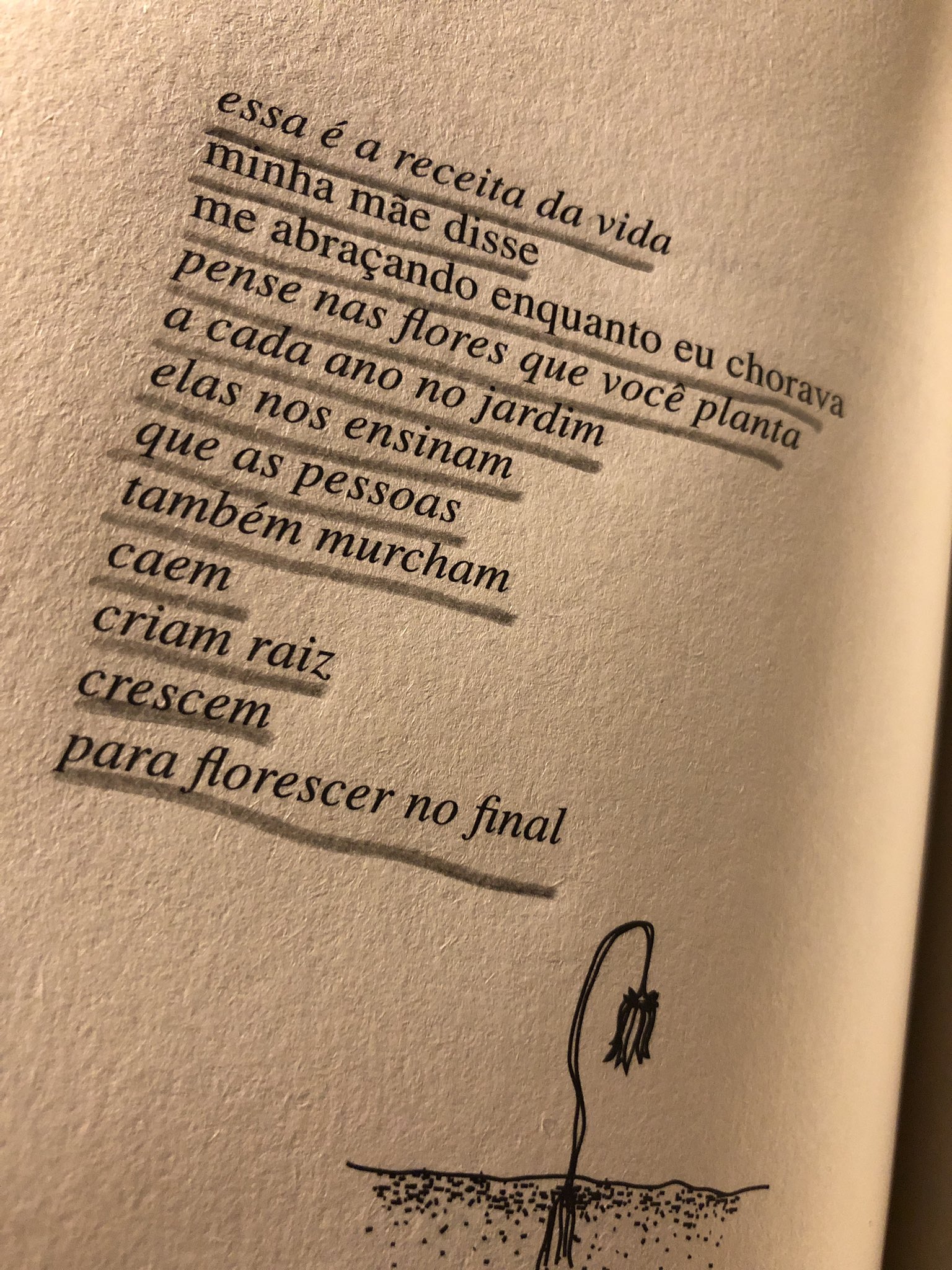 Poemas Tumblr Vida Poema De La Vida: Poemas Al Alma : Mendoza Monroy,