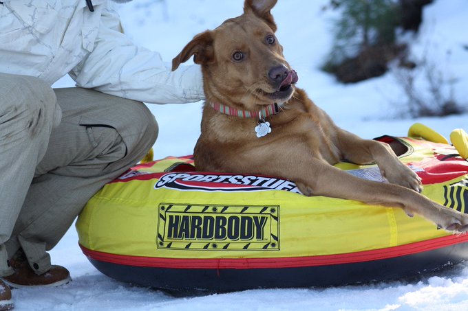 Airhead Towables, Snow Tubes, Floats, Wakeboards & More
