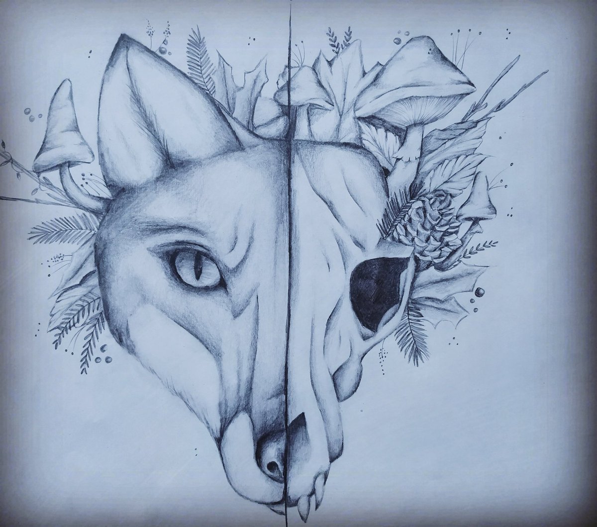 Fox Skull Drawing