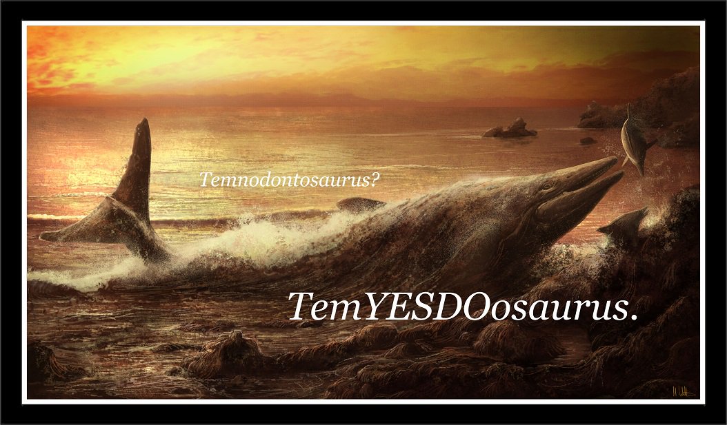 Temnodontosaurus Fossils