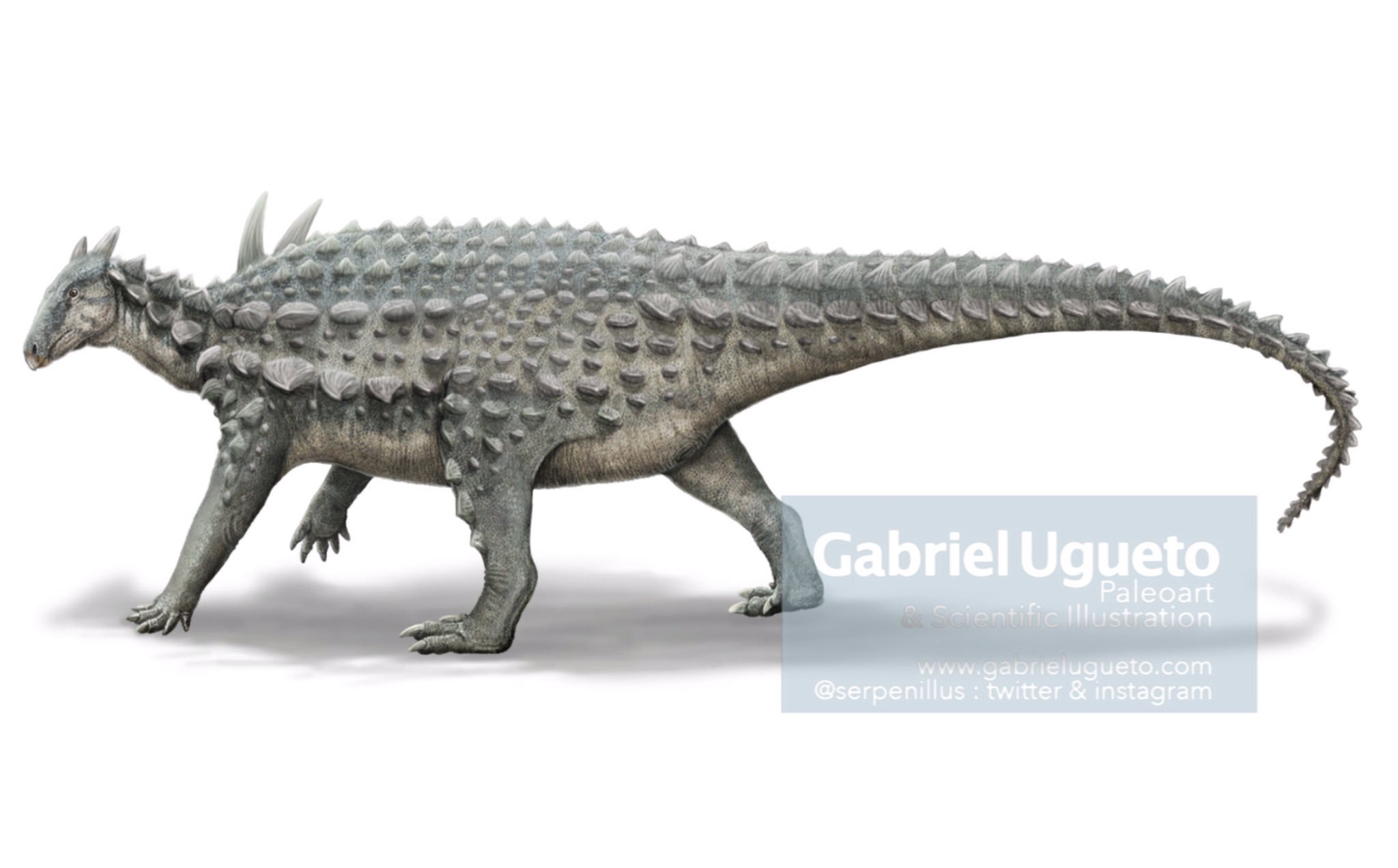 Scelidosaurus