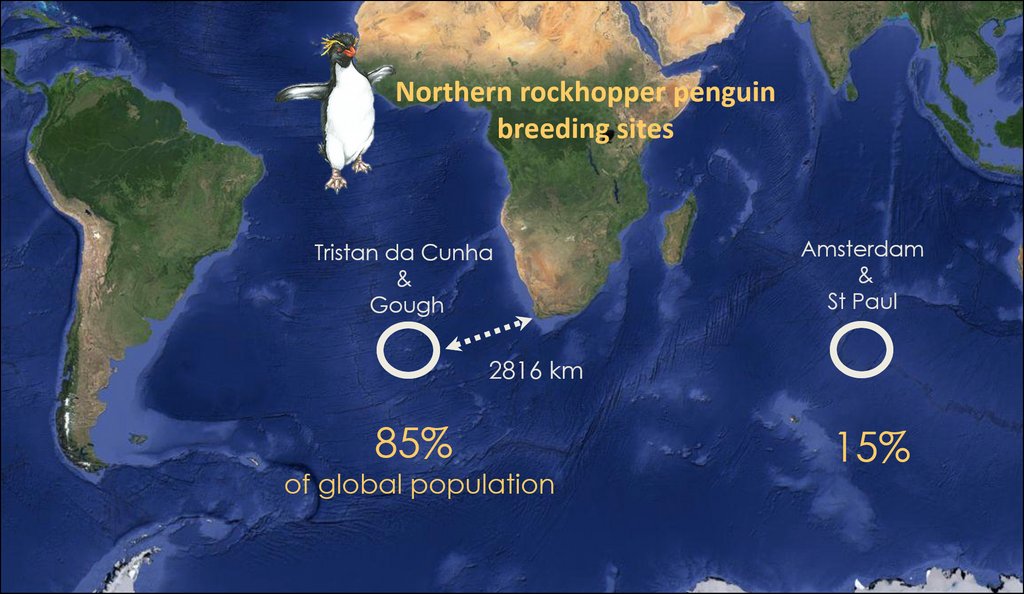 Amsterdam Island Map