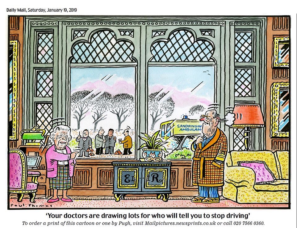 RoyalDish - (Funny) Royal Cartoons - page 2