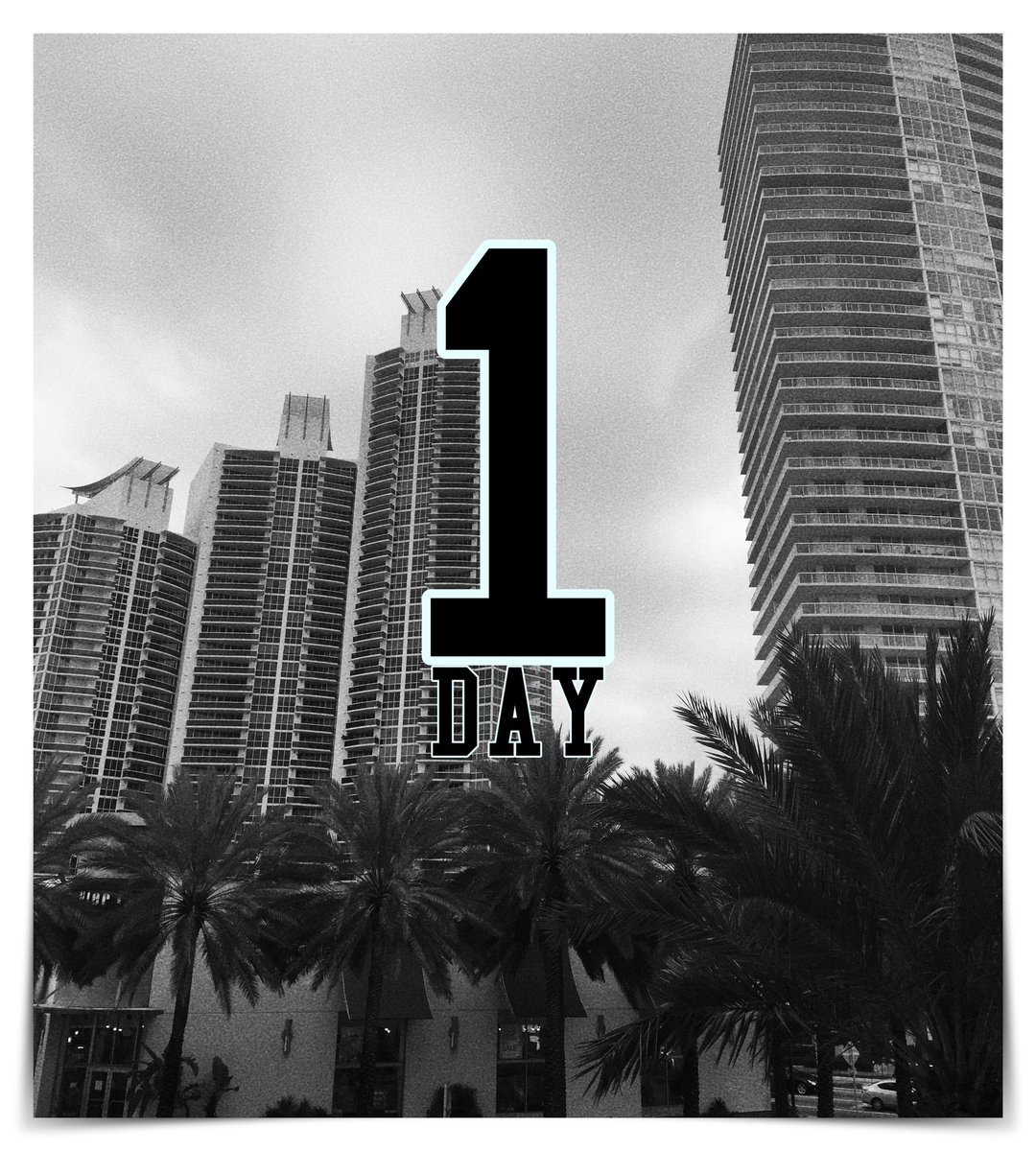 hiLO (@hilomiami) | Twitter