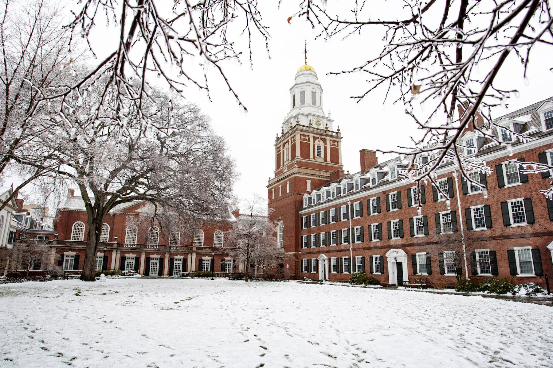 Yale University Campus Winter Yale University Buildings In Winter