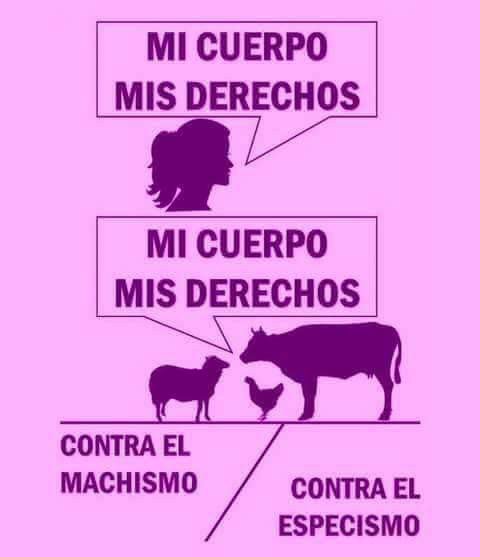 Pollasychochos Hashtag On Twitter