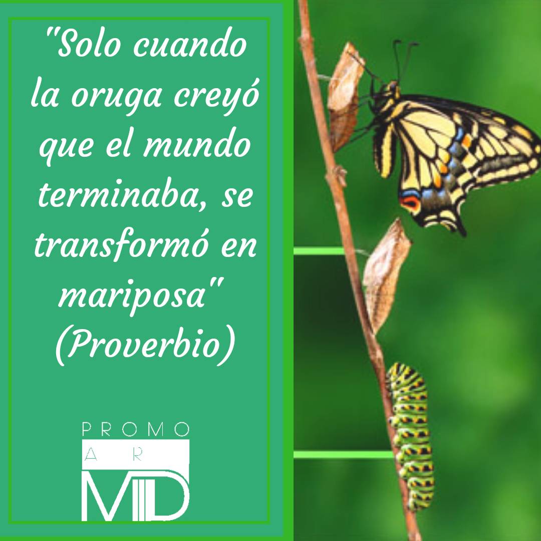 Cita De La Oruga Y La Mariposa