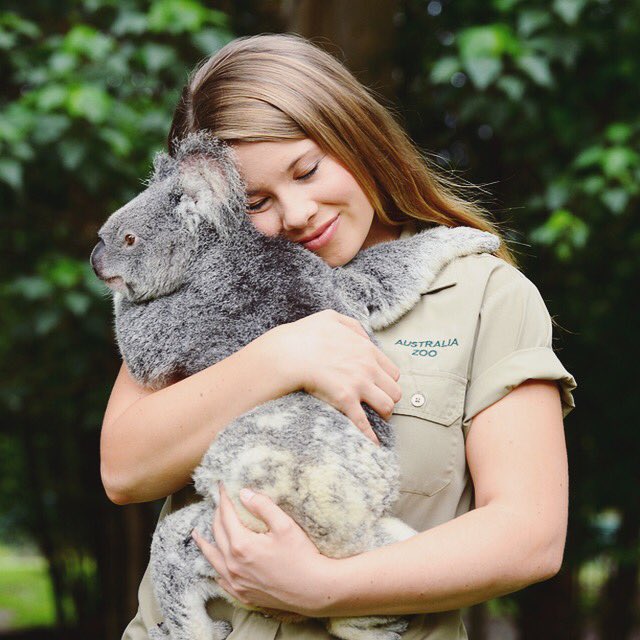 Koala Bear Hug Human