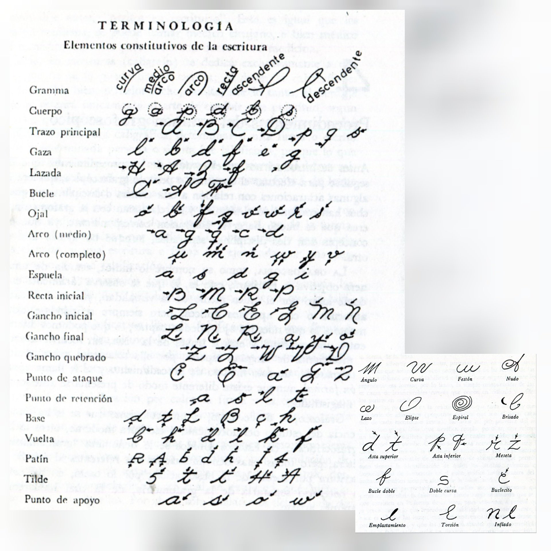 Más grande Adaptado Opaco elementos constitutivos de la escritura manga ...