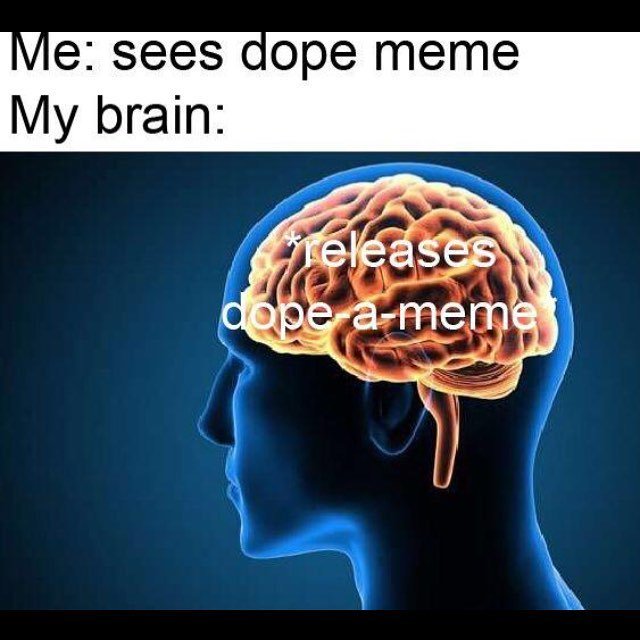 Dopamine Memes With Spunge Bob ADHD, Also Known As “Ass Doesn't Have