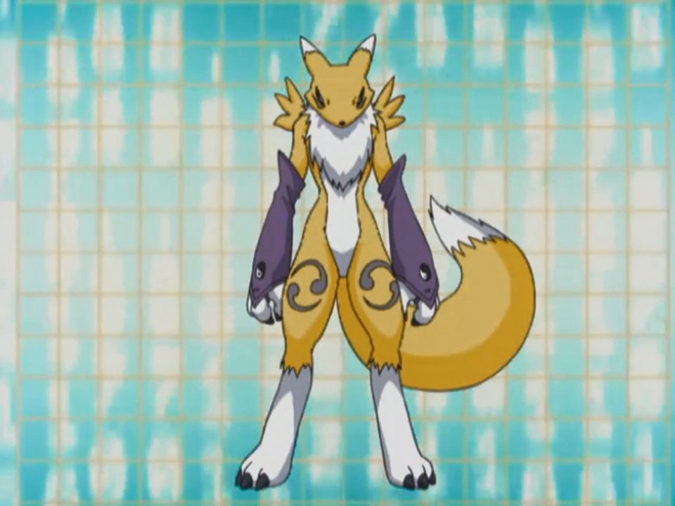 Digimon Tamers Renamon