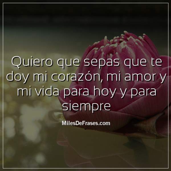 Te Doy Todas Mis Frases De Amor 100 Frases Bonitas Para Dedicar A